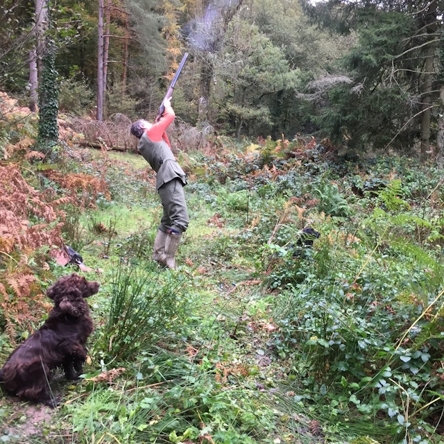 Great Fulford Estate Shoot, Devon - Availability on GunsOnPegs