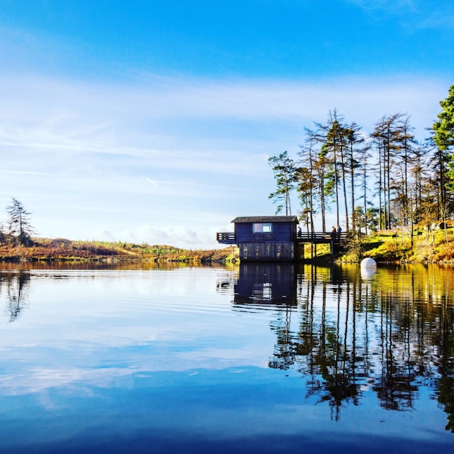 Graythwaite Estate Sporting, Cumbria - Availability on GunsOnPegs