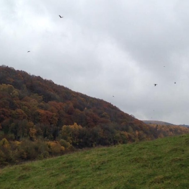 Buildwas Park Shoot , Shropshire - Availability on GunsOnPegs