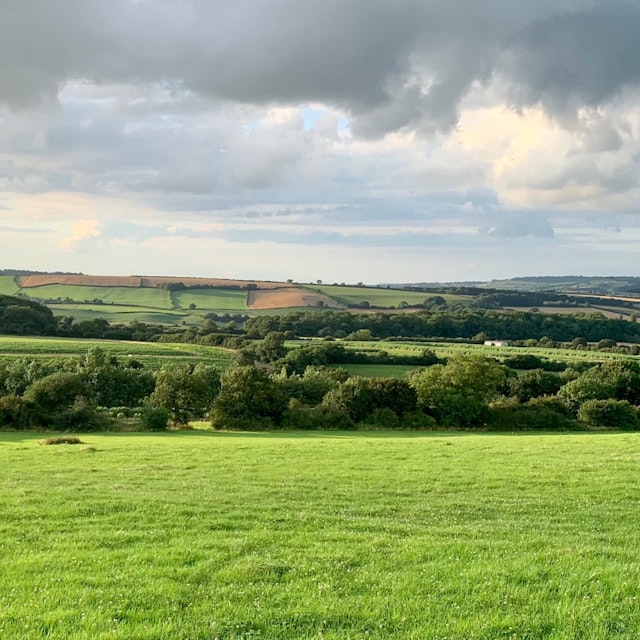 Tunley Estate , Somerset - Availability on GunsOnPegs